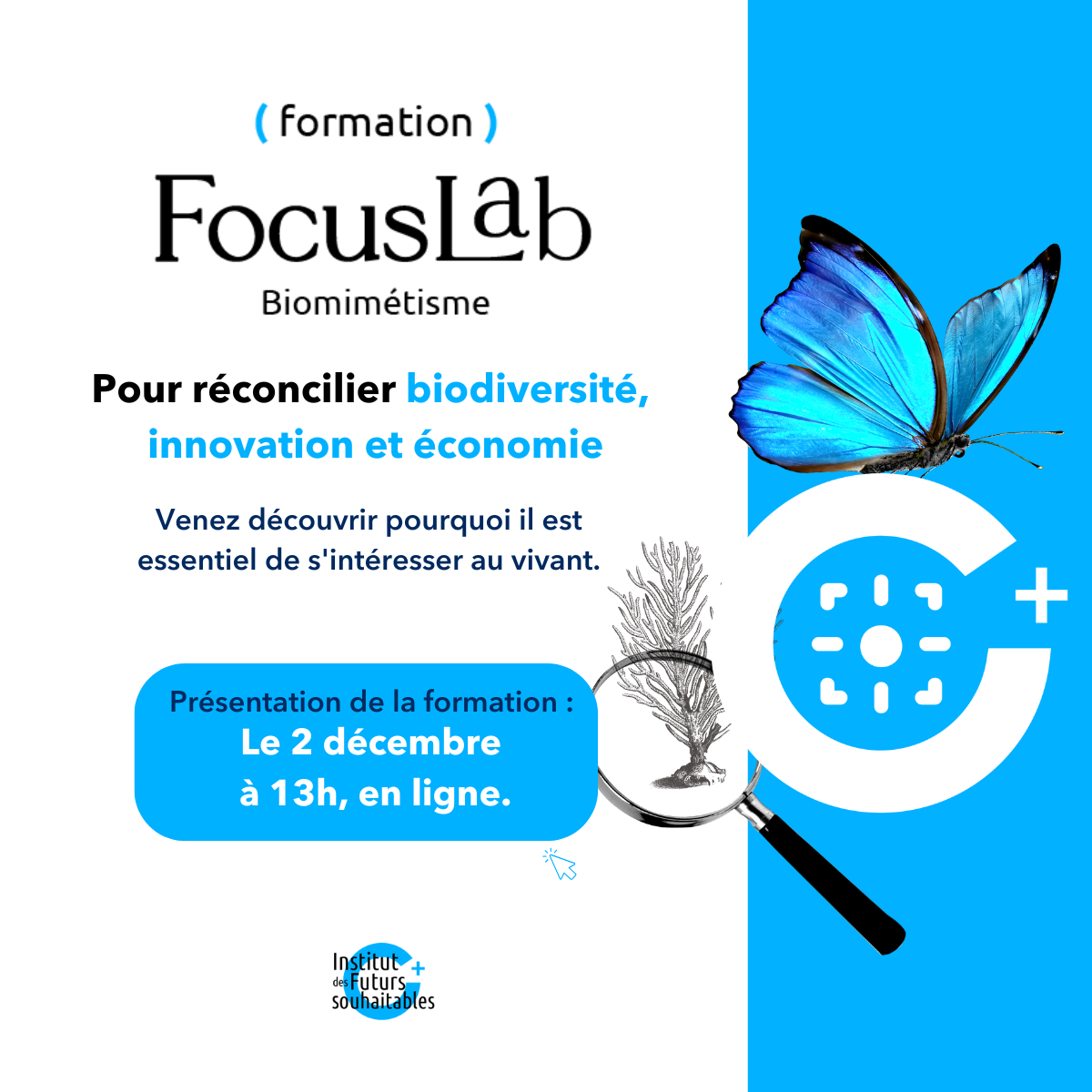 Dernières places pour la formation FocusLab biomimétisme de l'Institut des Futurs Souhaitables ...